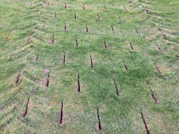 Biddy Mounted Aerators – Biddy Agricultural Attachments – Agricultural ...